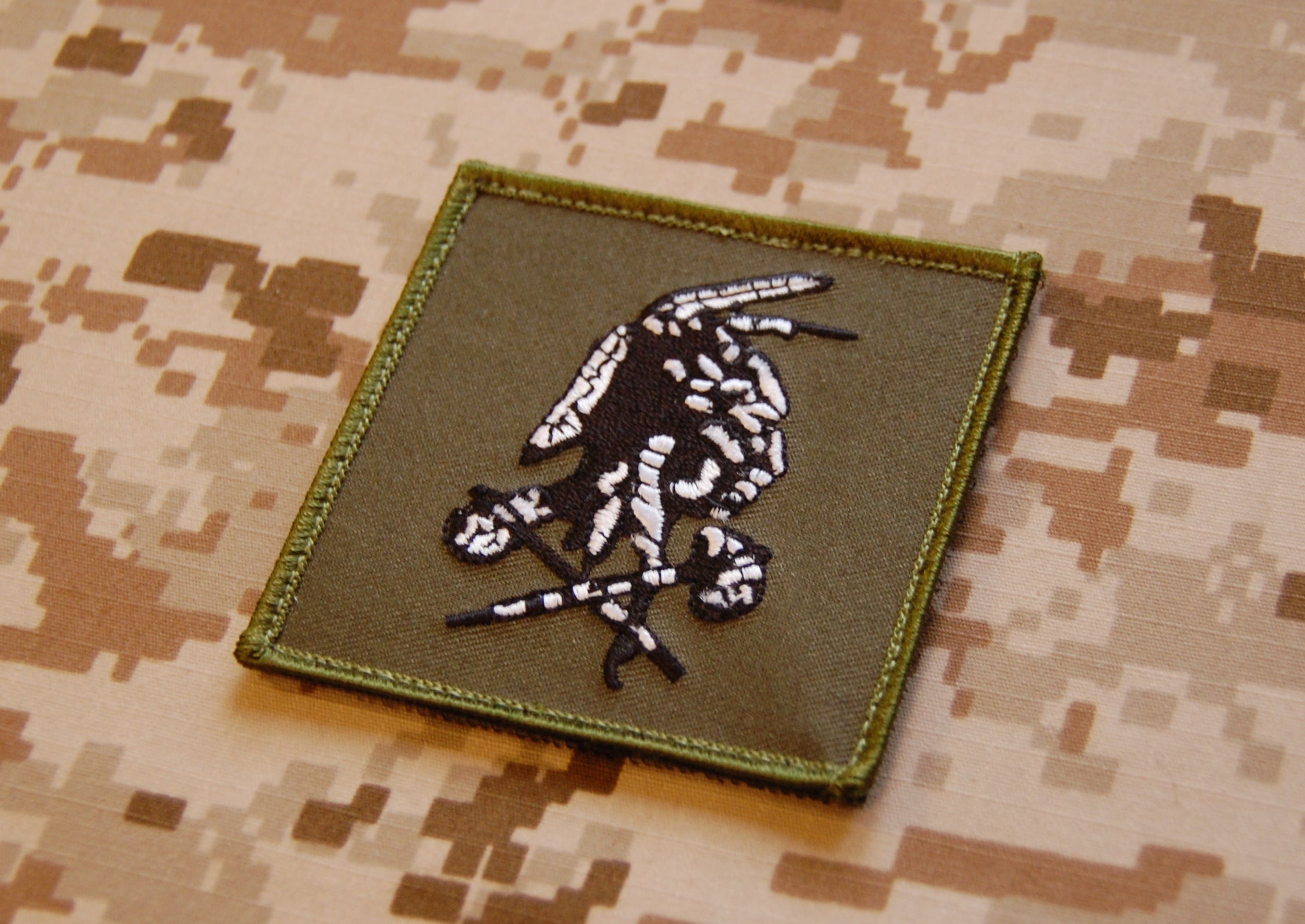 Nswdg Red Squadron Shooter Patch Od Britkitusa